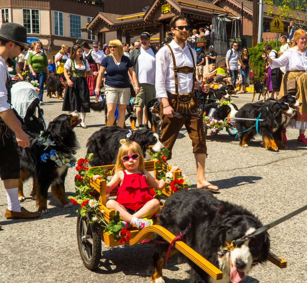 Maifest 2015 in Leavenworth, WA: The Bavarian Celebration of Spring ...